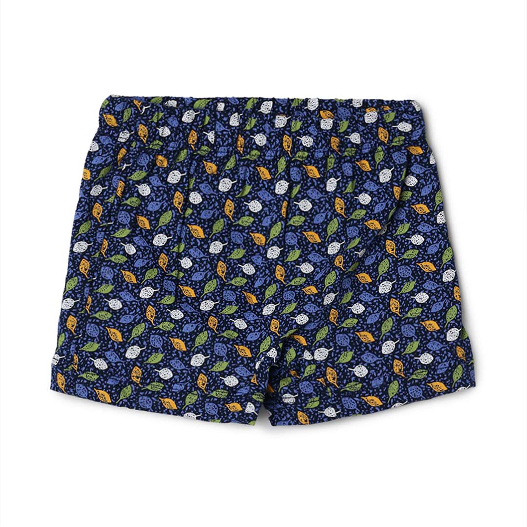 Kids Panty _ Ariel Nicker _ Pack of 3